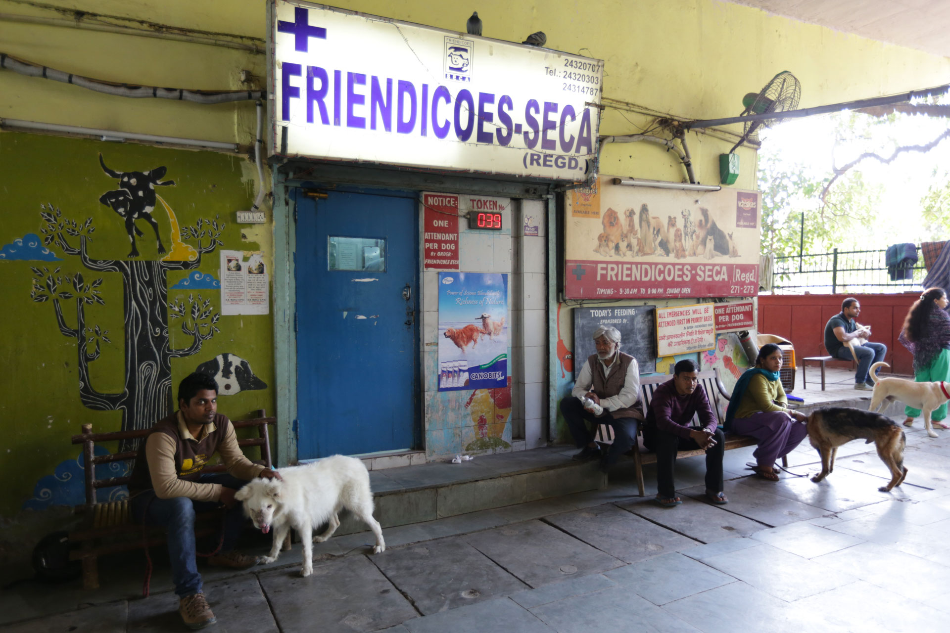City Shelter – Friendicoes