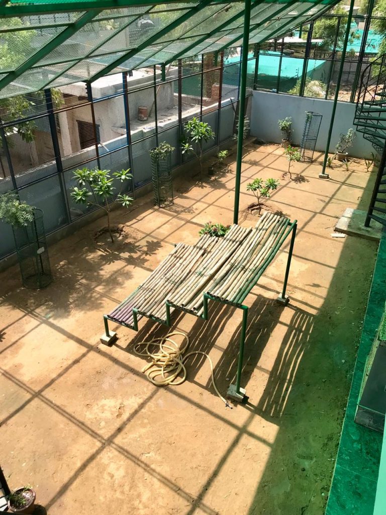 A new haven for the cool cats of Delhi/NCR – Friendicoes