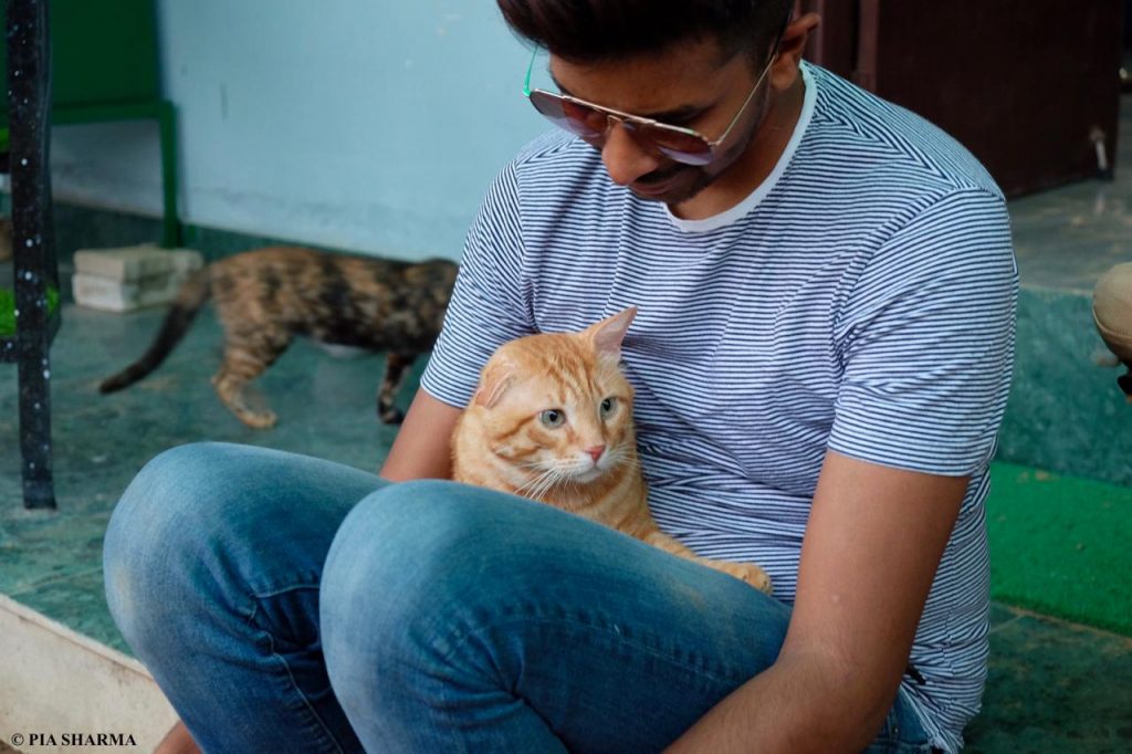 A new haven for the cool cats of Delhi/NCR – Friendicoes